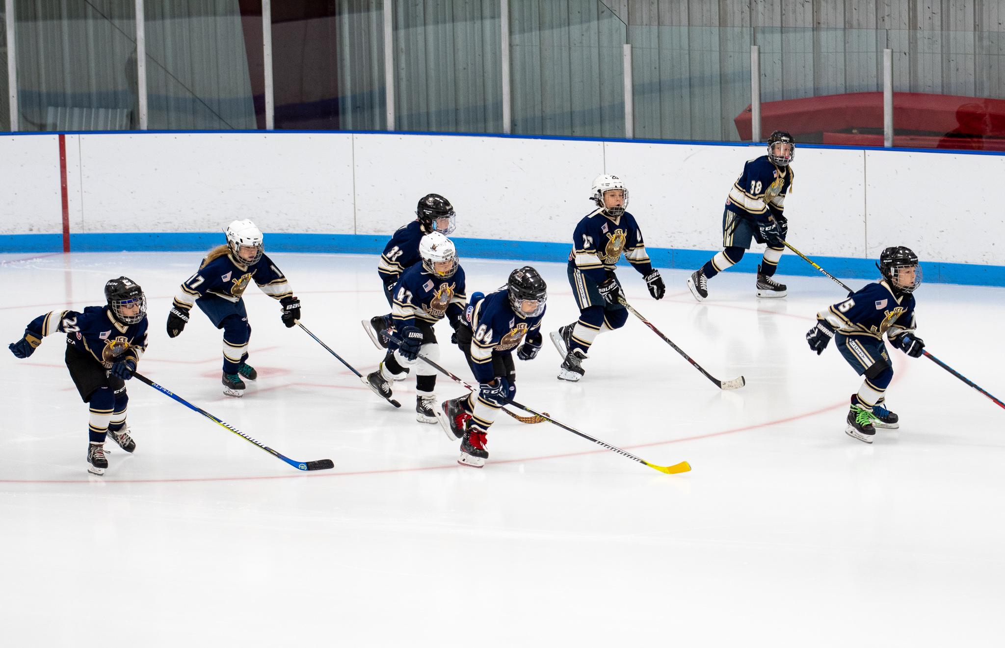 In-House Hockey Program - Pittsburgh Vengeance Tier II